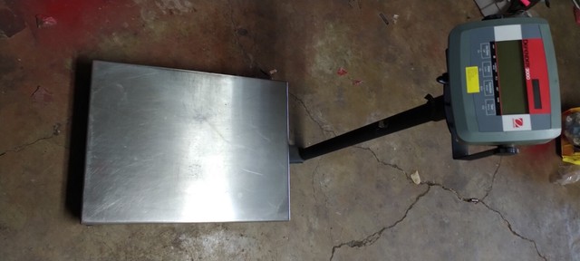 Ohaus T31p-us Indicator Digital LCD With Backlight for sale online | eBay