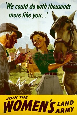 1943 WW2 USA AMERICA WOMEN LAND ARMY HORSE FARM COW CHICKEN PROPAGANDA ...