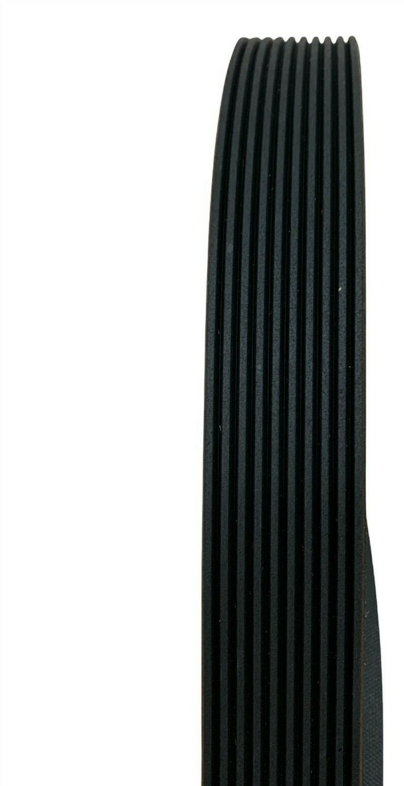 Fan Belt for Volvo VN VNL D12 Engine 20430382 | eBay