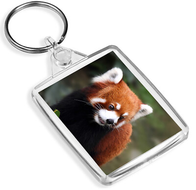 Endangered Red Panda Bear Keyring Animal Cute Wild Mum Gran Keyring ...