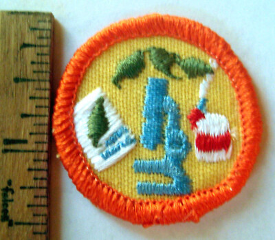 Girl Scout Junior 1990-2001 SCIENCE WORLDS BADGE Everyday Life ...