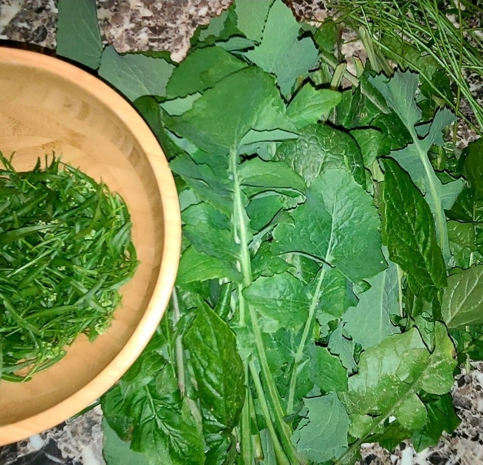 1 oz STRONG 4X Wild Lettuce Extract ~ Opium Lettuce 4X Tincture 100% ...