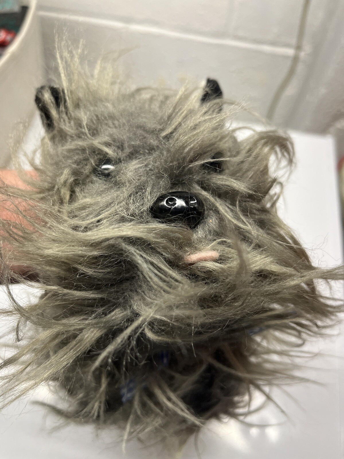 Toto Dog Wizard of Oz 8" Plush Stuffed Animal Rubies Costume Co ...