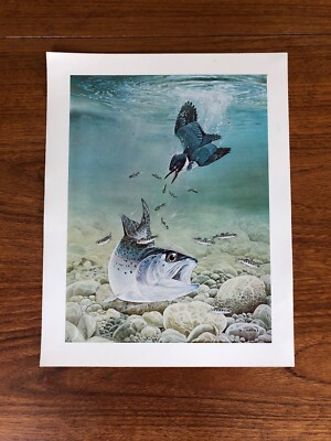 Vintage Glen G. Loates Trout Fish Diving Bird Art Print Remington Game ...