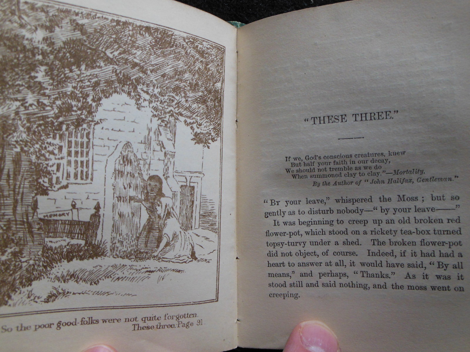Parables from Nature by Mrs Alfred Gatty - 1871 - 5th Series, Children ...
