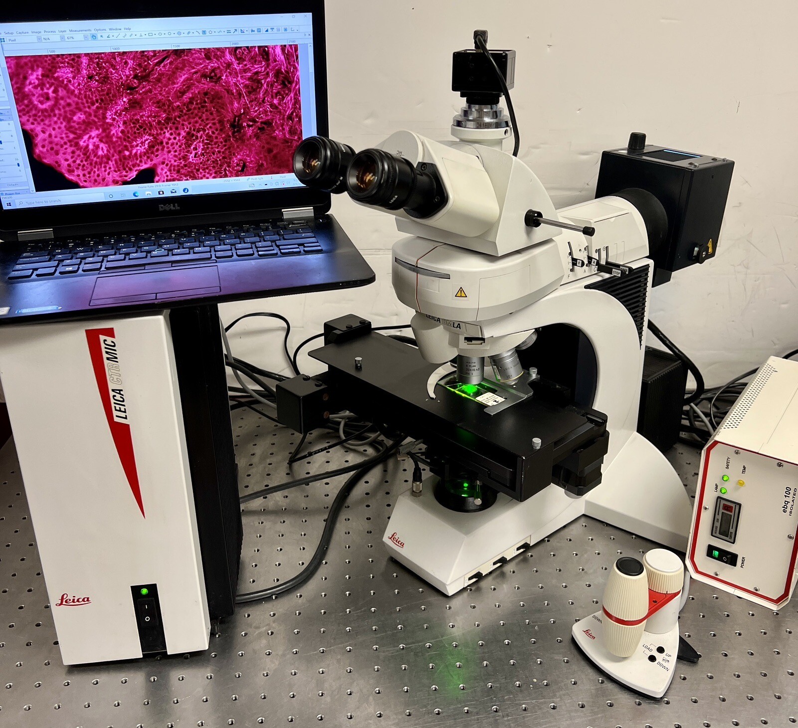 Leica DM DMLA Microscope Full Motorized Fluorescence+ Camera | eBay