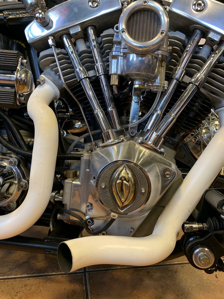 Harley-Davidson SHOVELHEAD, EVOLUTION,Sportster point cover, SOLID ...