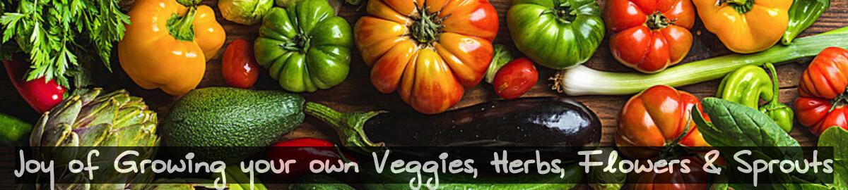 Happy Valley Seeds | eBay Stores