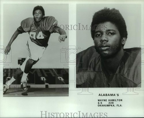 1978 Press Photo Alabama college football player Wayne Hamilton ...