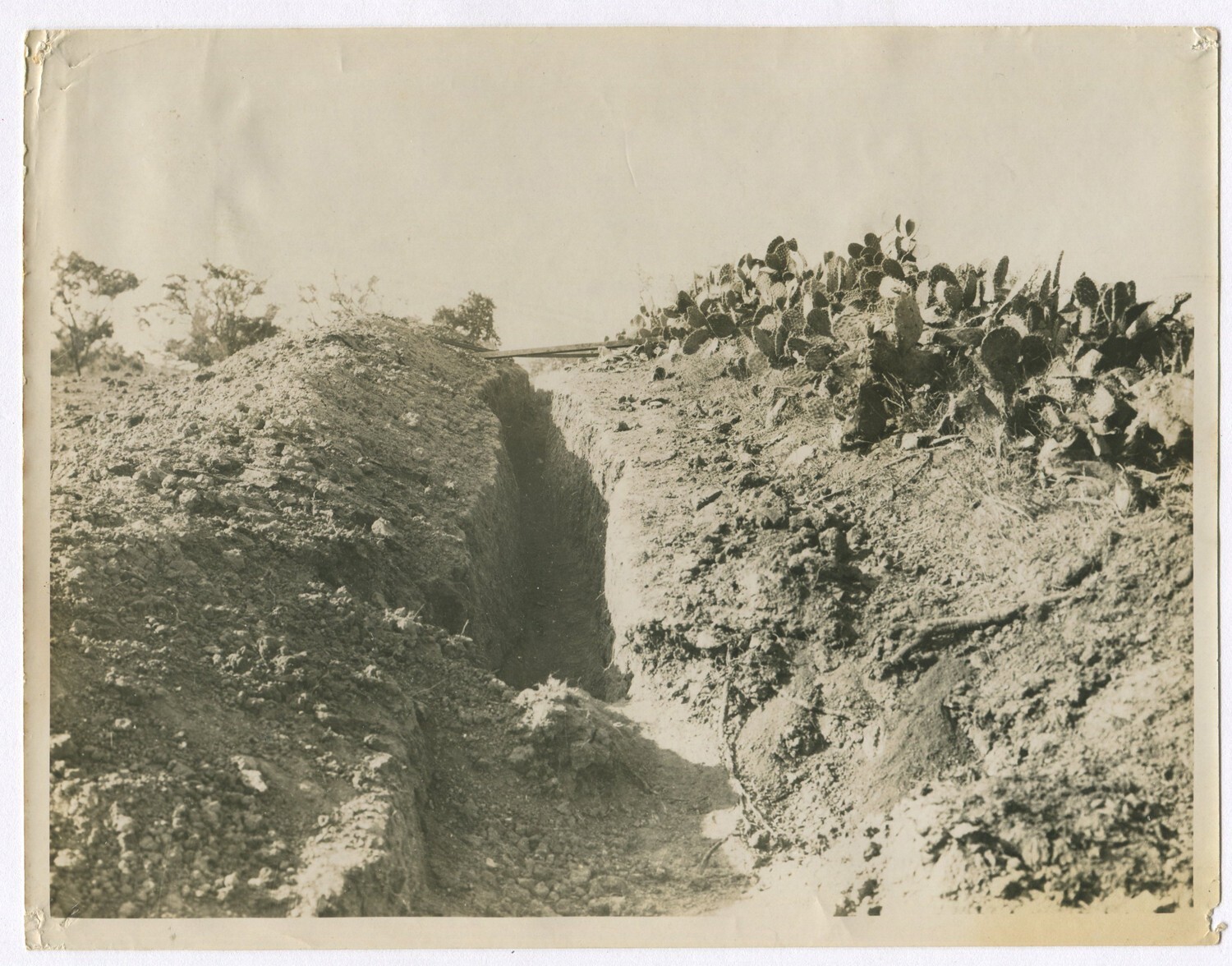 TURKISH TRENCHES IN AL ARISH REDOUBT, GAZA, PALESTINE. WWI. (8x10 ...