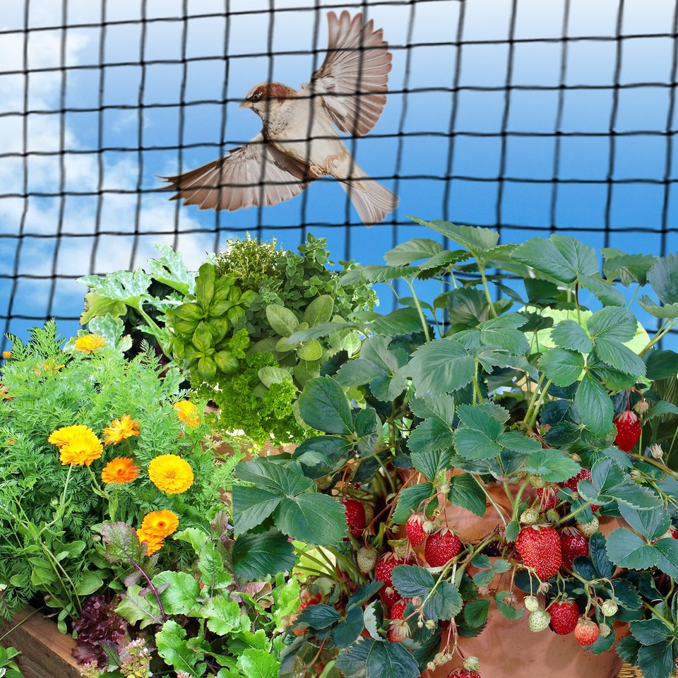 Multi-size Anti Bird Netting Bird Barrier Poultry Aviary Net Pens 2 ...