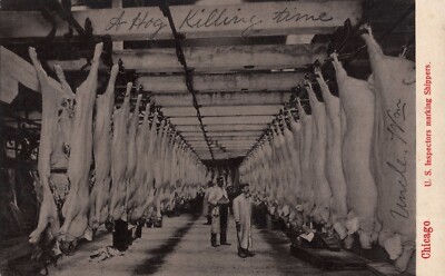U. S. Inspectors Marking Shippers Chicago Hog Processing Vintage ...
