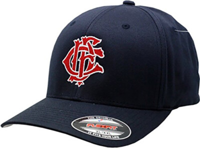 Chicago Fire Department Flex Fit Hat with embroidered CFD Logo Navy | eBay