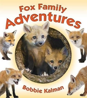 Bobbie Kalman Fox Family Adventures (Paperback) (UK IMPORT ...