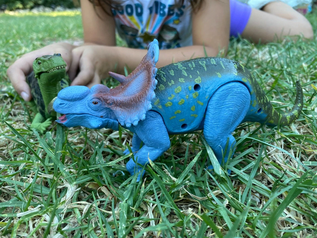 Dinosaurs Pachyrhinosaurus Toy