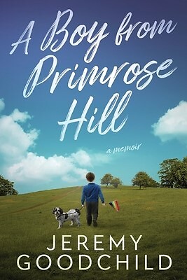 A Boy From Primrose Hill by Goodchild, Jeremy -Paperback | eBay Australia