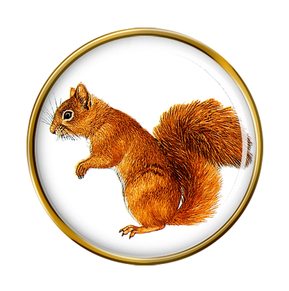 Red Squirrel Lapel Pin Badge | eBay