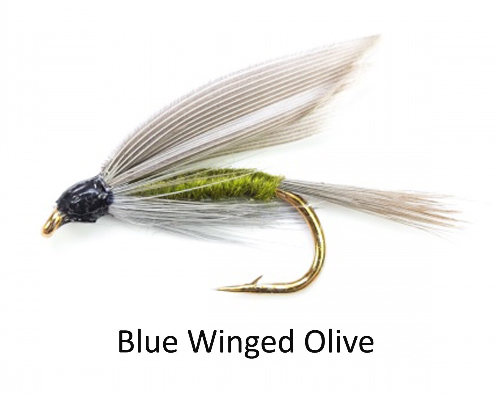 Tackle Fly Box + Assorted Nymph, Buzzer Dry Wet Trout & Grayling ...