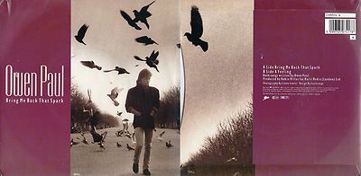 Record 45 RPM Owen Paul ‎– Bring Me Back That Spark Feeling | eBay