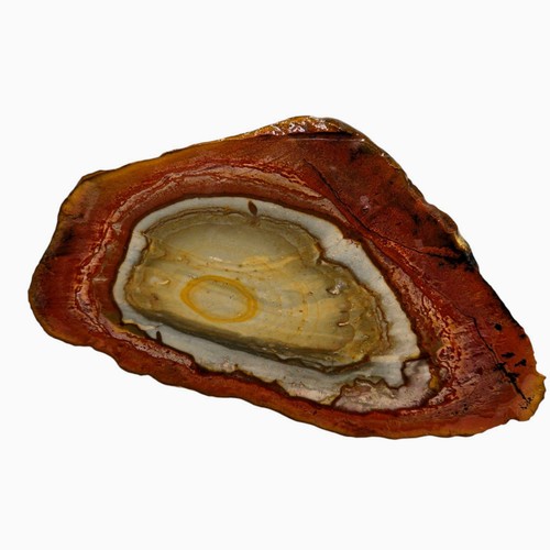 Polychrome Jasper Slab Lapidary Stone Slice Cut Rock | eBay