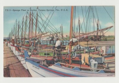 Florida, Tarpon Springs, Sponge Fleet | eBay