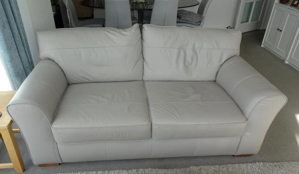 Michigan Sofa Next Leather | Baci Living Room