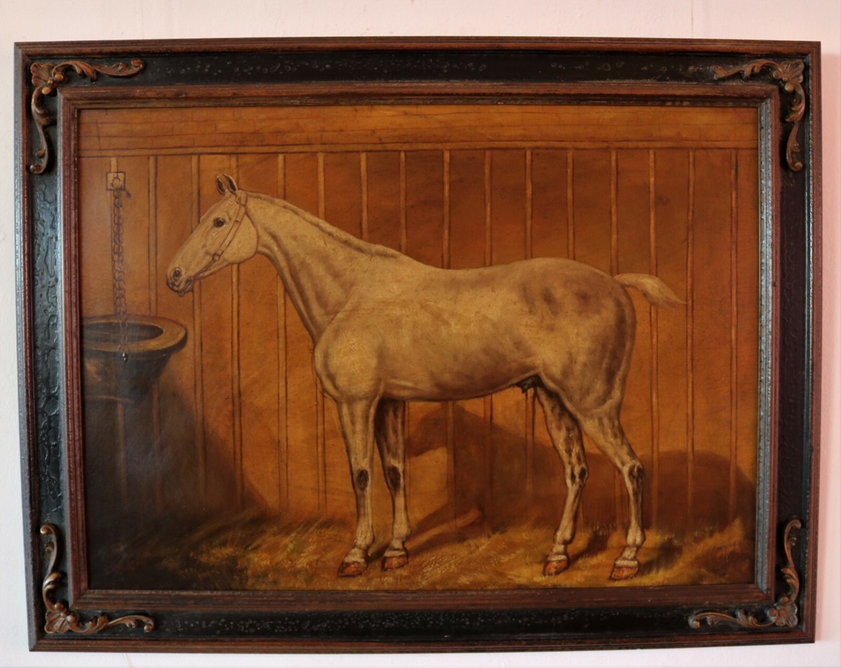 Dipinto Dell'occhio Del Cavallo CAVALLI DA INCUBO E DA SOGNO