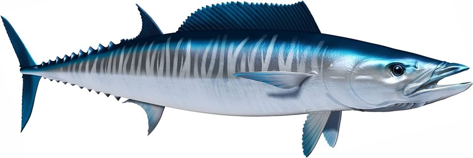 Wahoo Beautiful Vinyl Sticker Fish Decals for Boat Car Vehicle Truck ...