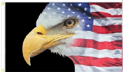 American Flag Eagle Crying