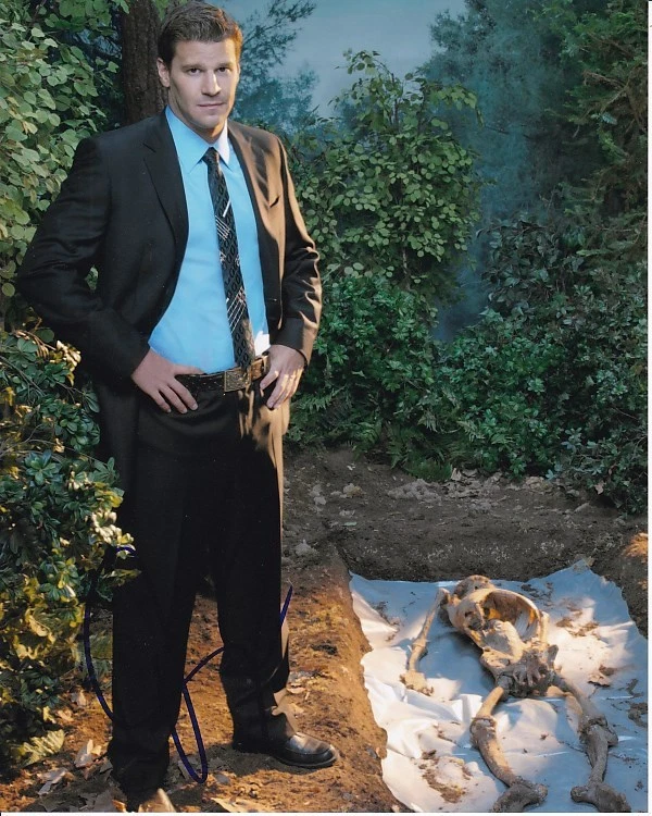 David Boreanaz Booth