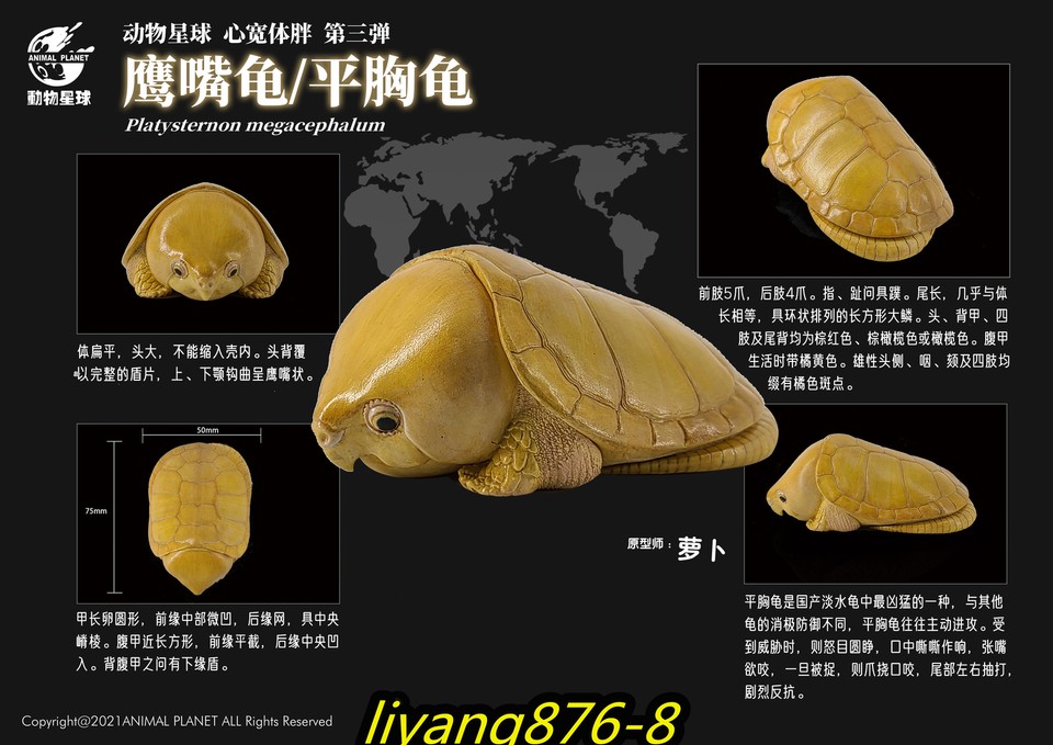 Animal Planet Laugh and Grow Fat Tortoise Blind Box Collector Turtle ...