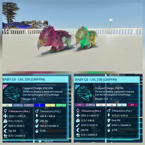 GRIFFIN BABY PAIR +200 LVL RAGNAROCK ARK ASCENDED PVE PC/XBOX/PS5 | eBay