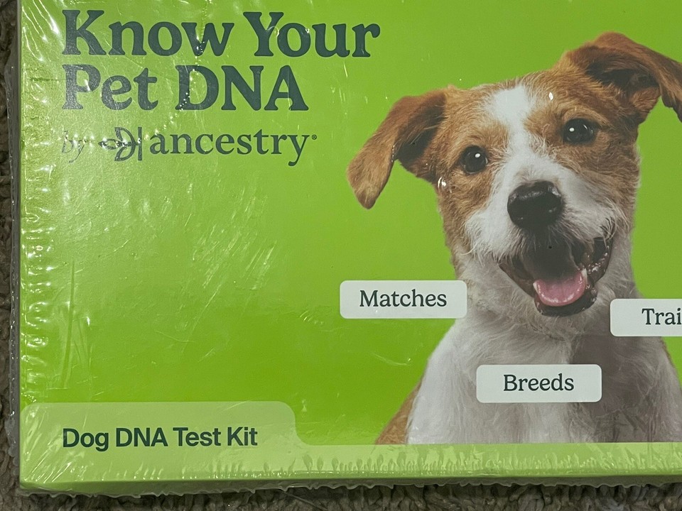 Ancestry Pet DNA Test: Dog Breed Identification Test, Genetic Traits ...