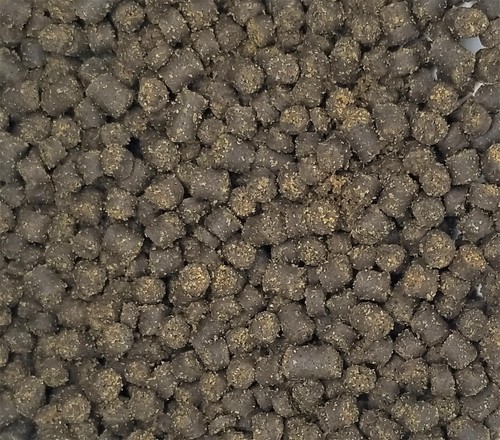 Frog Bites - Moist Sinking Pellets for Aquatic & Terrestrial Frogs ...