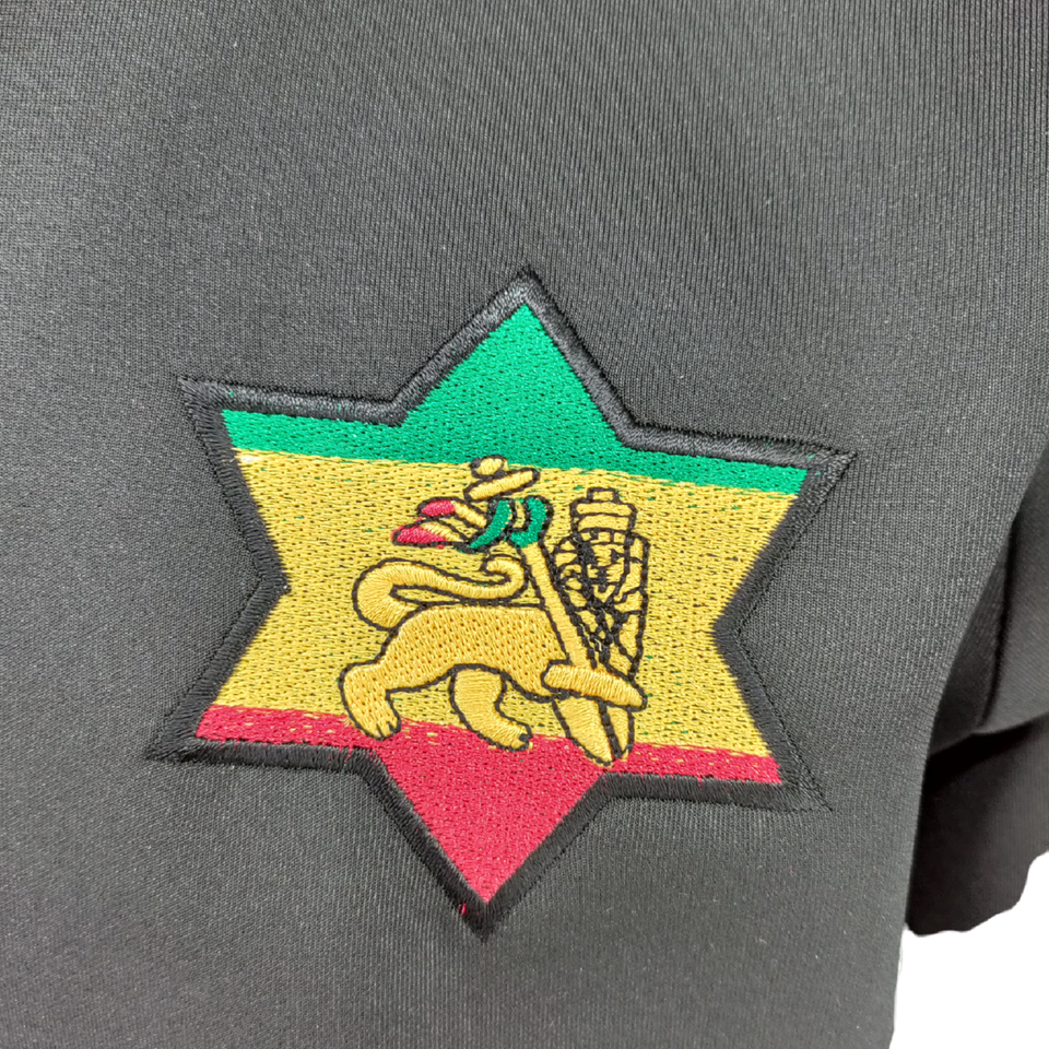 Men's Rasta Tracksuit 2 Piece Set Mens rasta Hoodie & Joggers Zip Pants ...