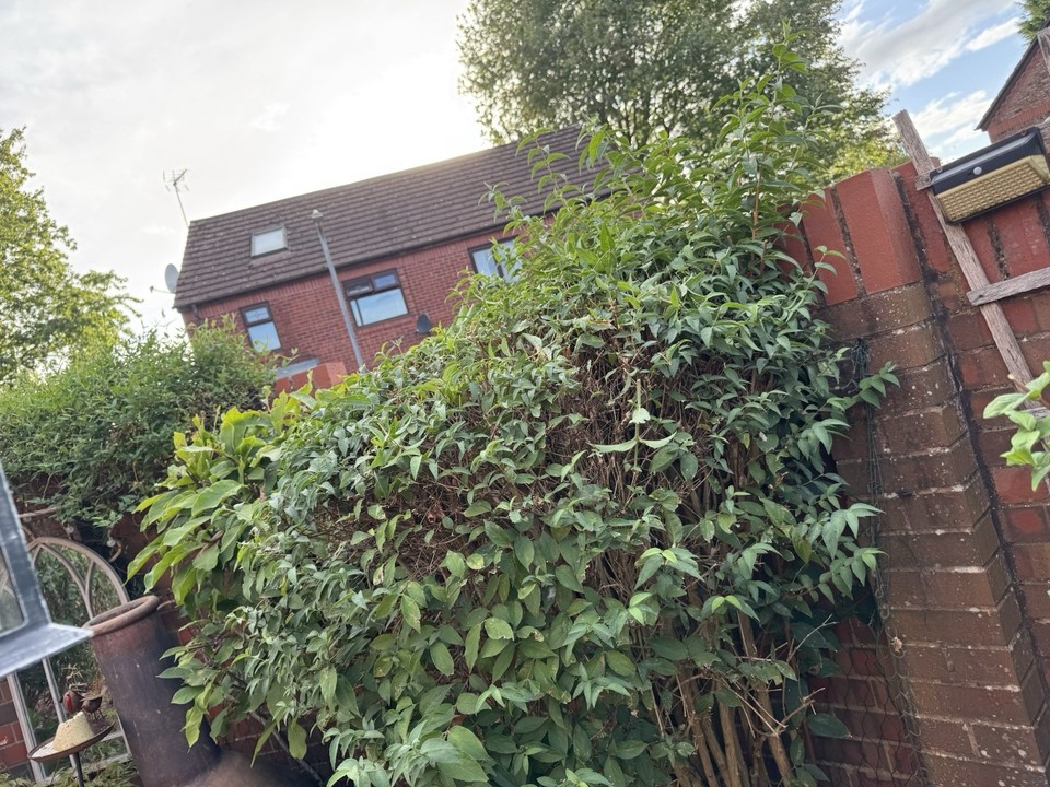 GTECH HT04 - 18v Cordless Hedge trimmer Includes Battery & Charger ...