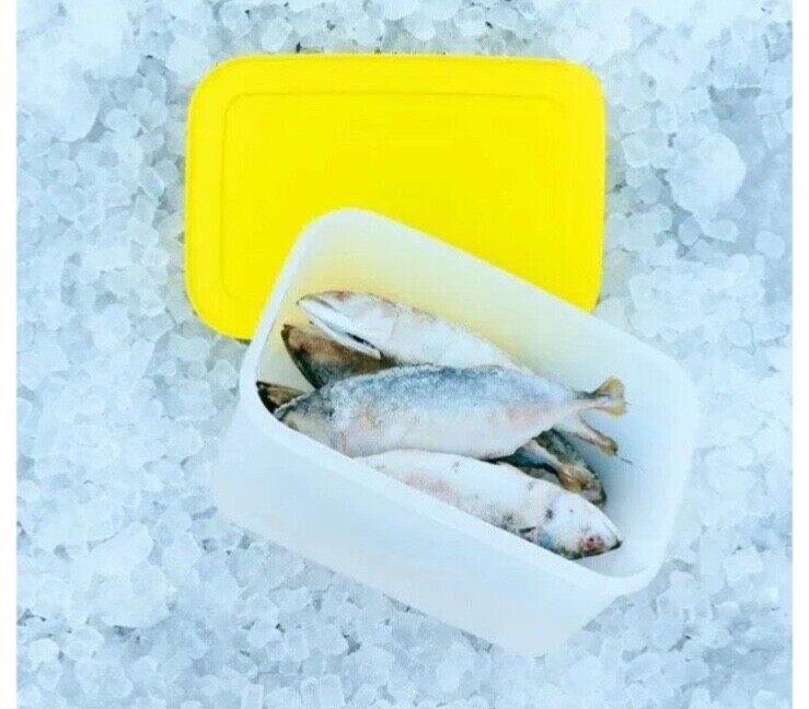 Tupperware Freezer Keeper Medium High Snowflake Freezer Mate Yellow Lid ...