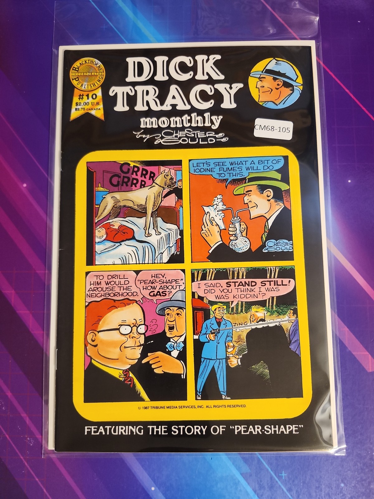 DICK TRACY MONTHLY #10 HIGH GRADE BLACKTHORNE PUBLISHING COMIC BOOK ...