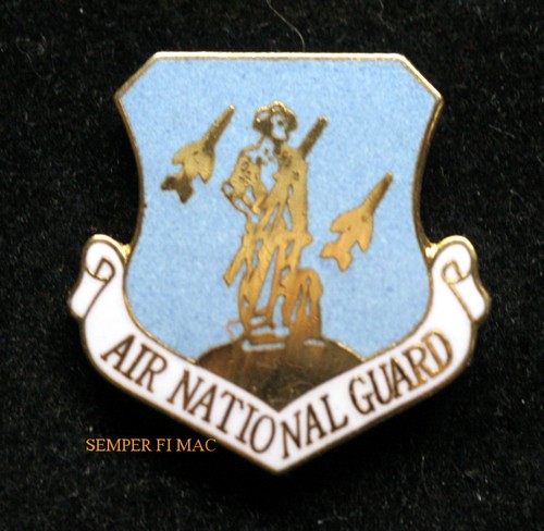 AIR NATIONAL GUARD ANG HAT LAPEL PIN UP MINUTEMAN AIR GUARD AIR FORCE ...