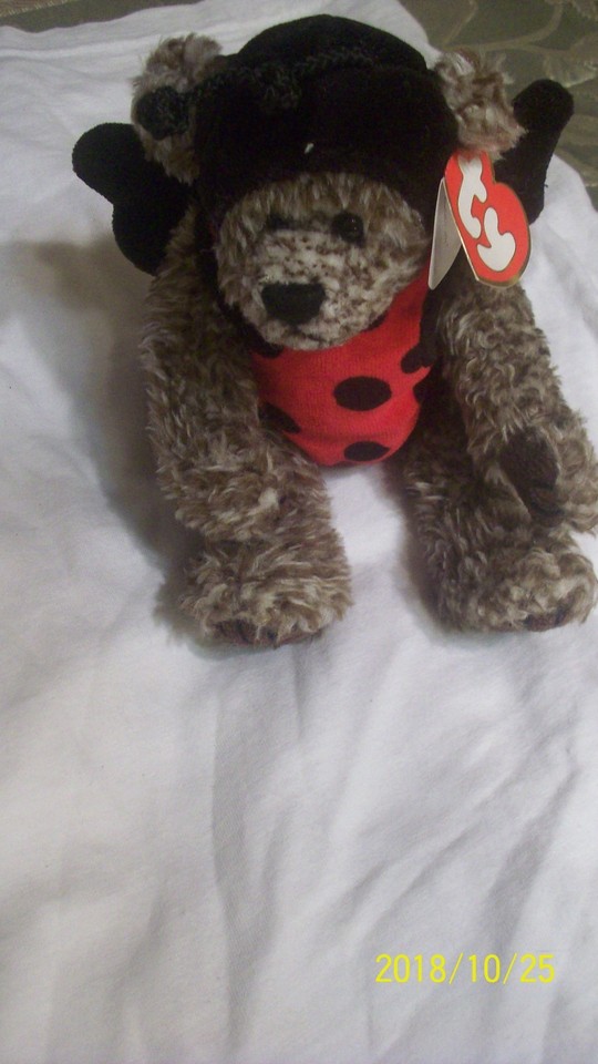 TY bugsy always a lady movable legs teddy bear with lady bug costume ...