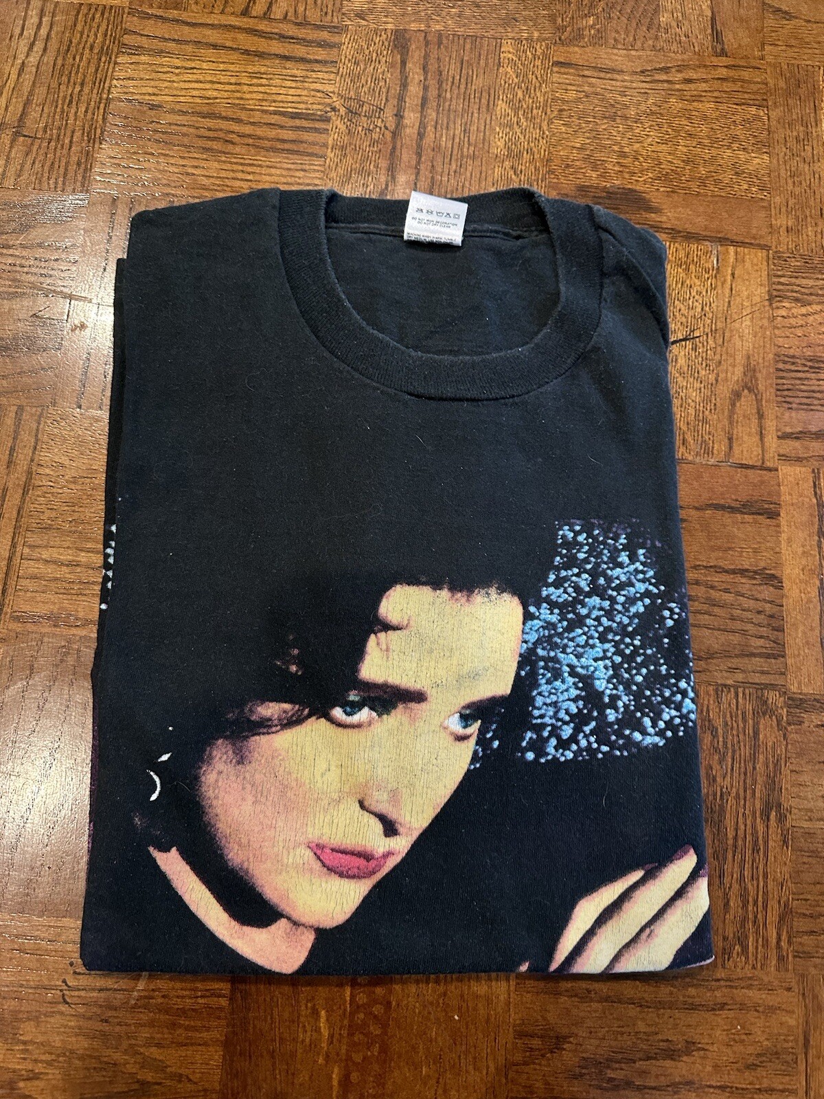RARE VINTAGE 1995 Siouxsie And The Banshees The Raptu… - Gem
