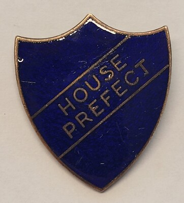 VTG House prefect badge porcelain shield 🛡 (no pin) THOMAS FATTORINI ...