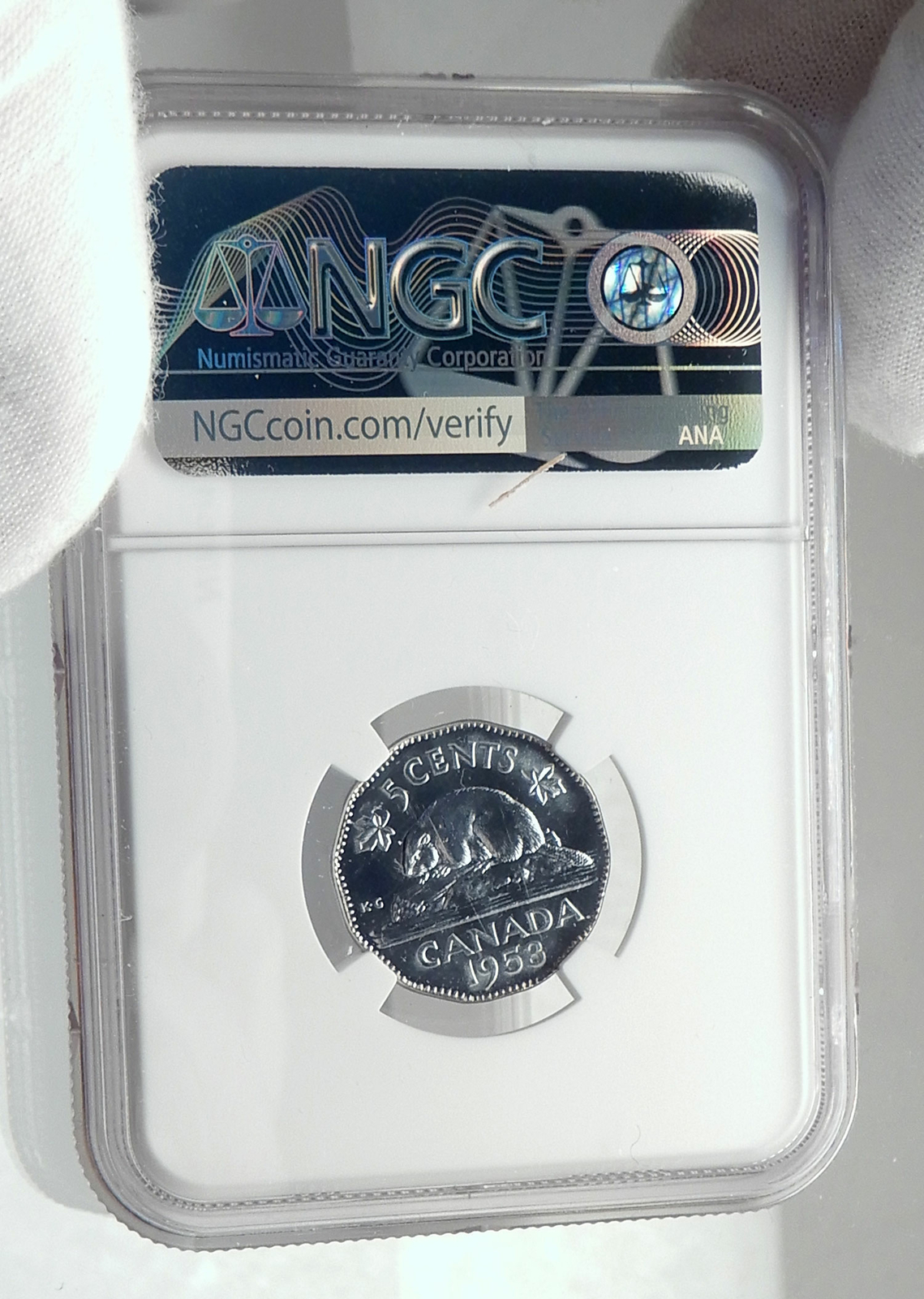 1953 CANADA United Kingdom Queen Elizabeth II BEAVER 5C NGC Coin i77261 ...