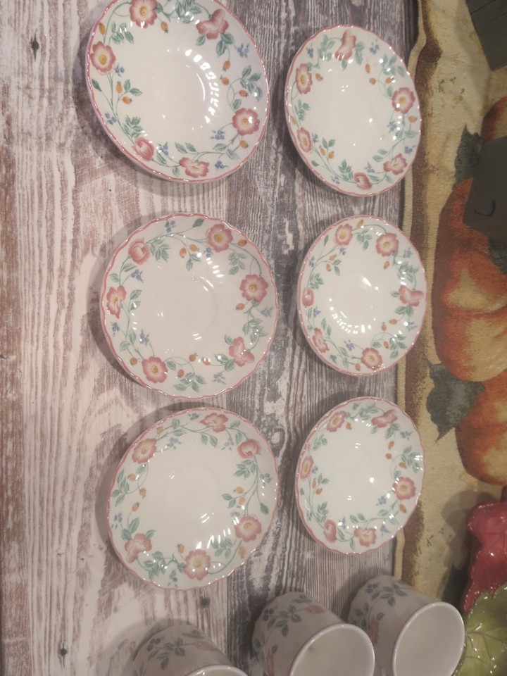 Vintage Churchill Briar Rose Pattern Flat Cup and Saucer Sets 6 ...