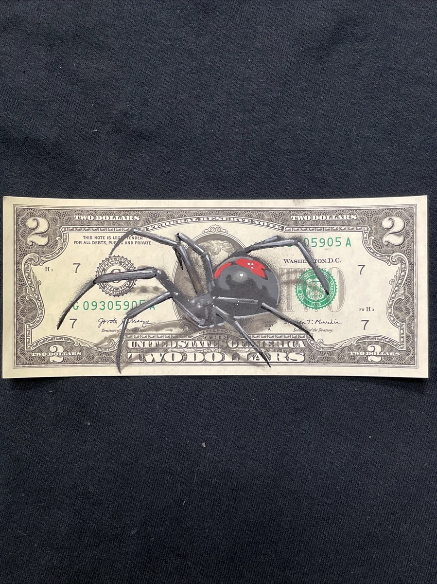 Spider On Dollar Bill
