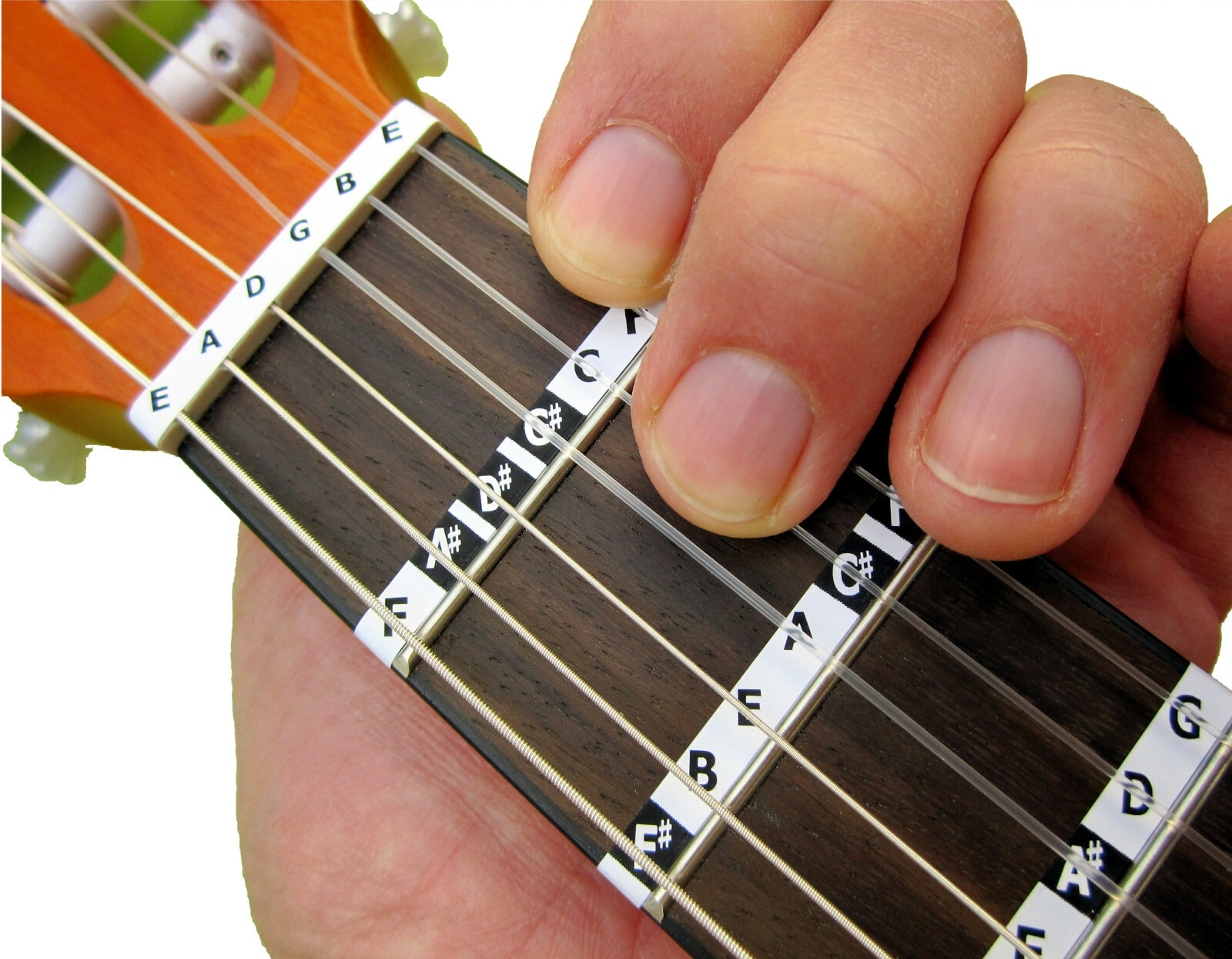 GUITAR NOTE STICKERS 3/4 & 1/2 SIZE CLASSICAL Spanish Fretboard Labels ...