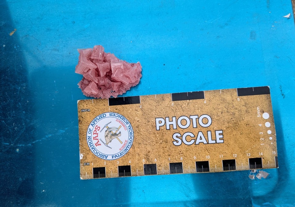 Pink Halite Salt Crystal Cluster Handpicked Quality Trona, CA Mineral ...