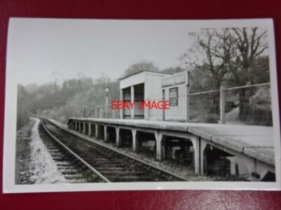 PHOTO DARKROOM - BOLHAM HALT RAILWAY STATION (2) TIVERTON - COVE ...