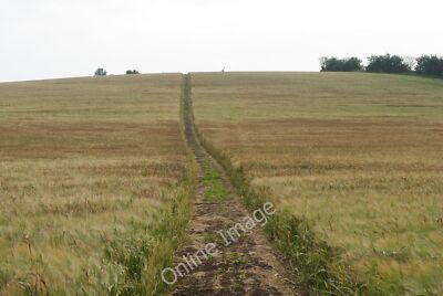 Photo 6x4 Clear cut path Greenfield/TL0534 Footpath behind Pulloxhill ...
