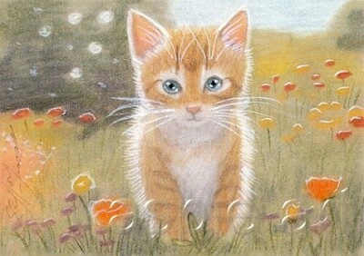 ACEO print limited edition ginger kitten flowers meadow by Anna Hoff | eBay